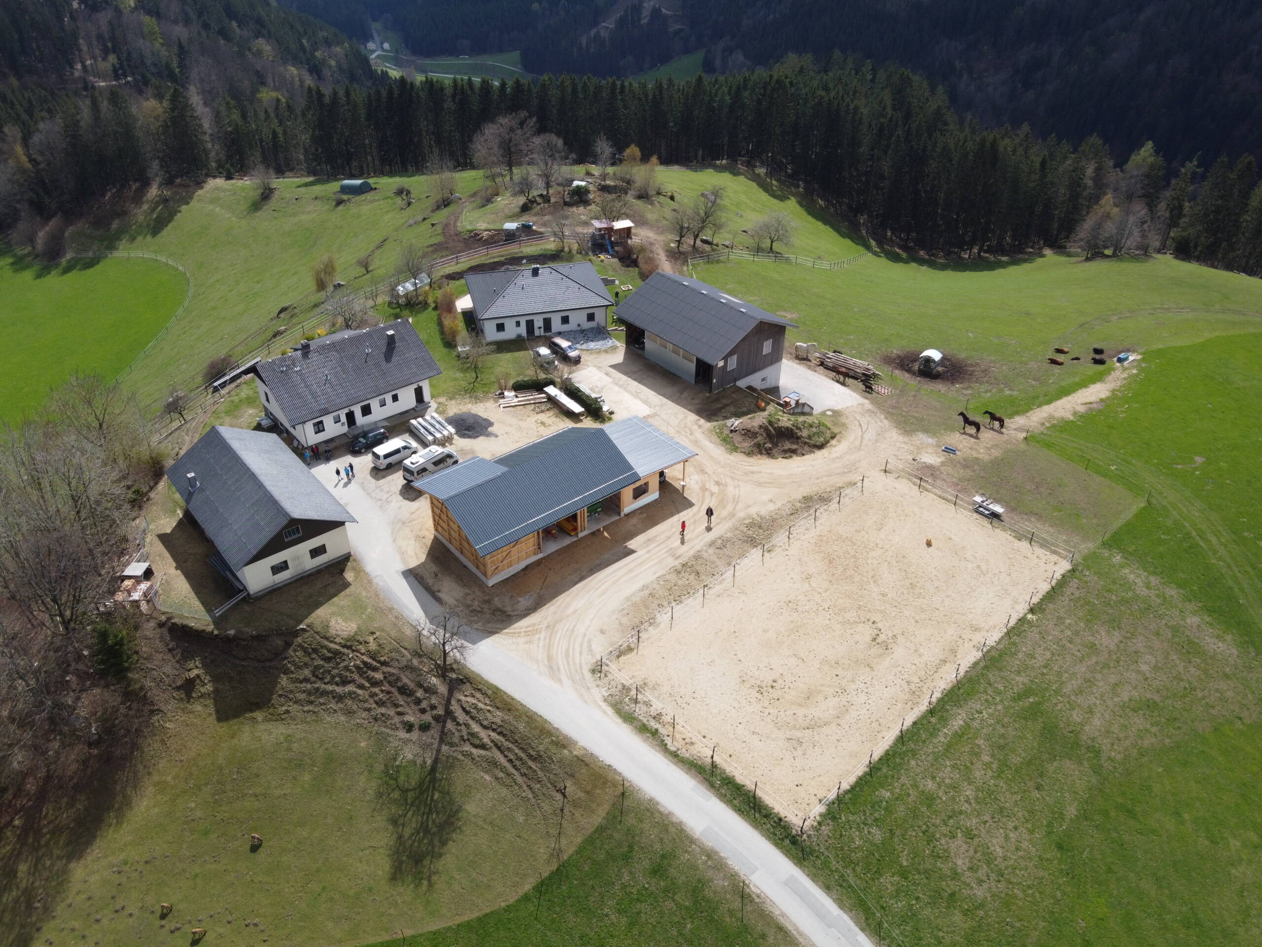 Rocky Sunshine Ranch – Rocky Sunshine Ranch